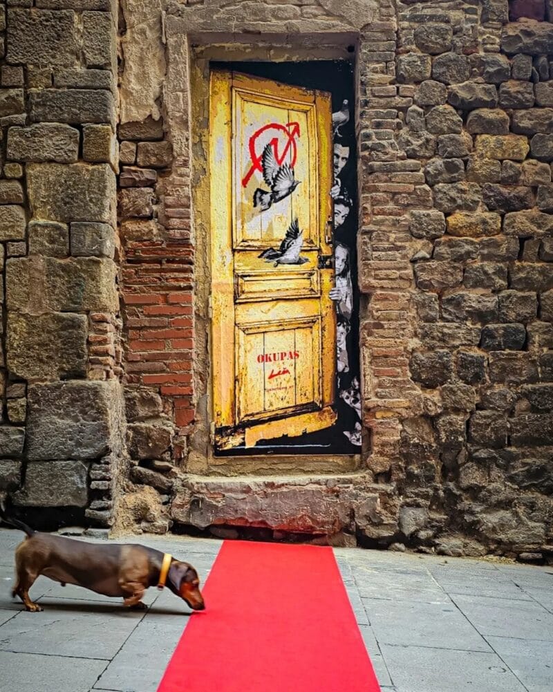 Street Art – Alberto León – Obras, Murales y Trayectoria